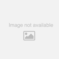 Micrometers-Bench Laser